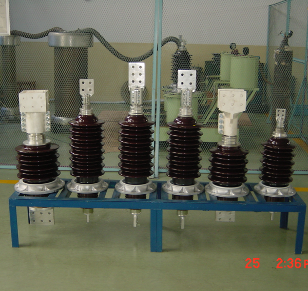 Primary bushing – shengchong